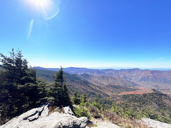 The Plants Seeking Refuge Acro [IMAGE] | EurekAlert! Science News Releases