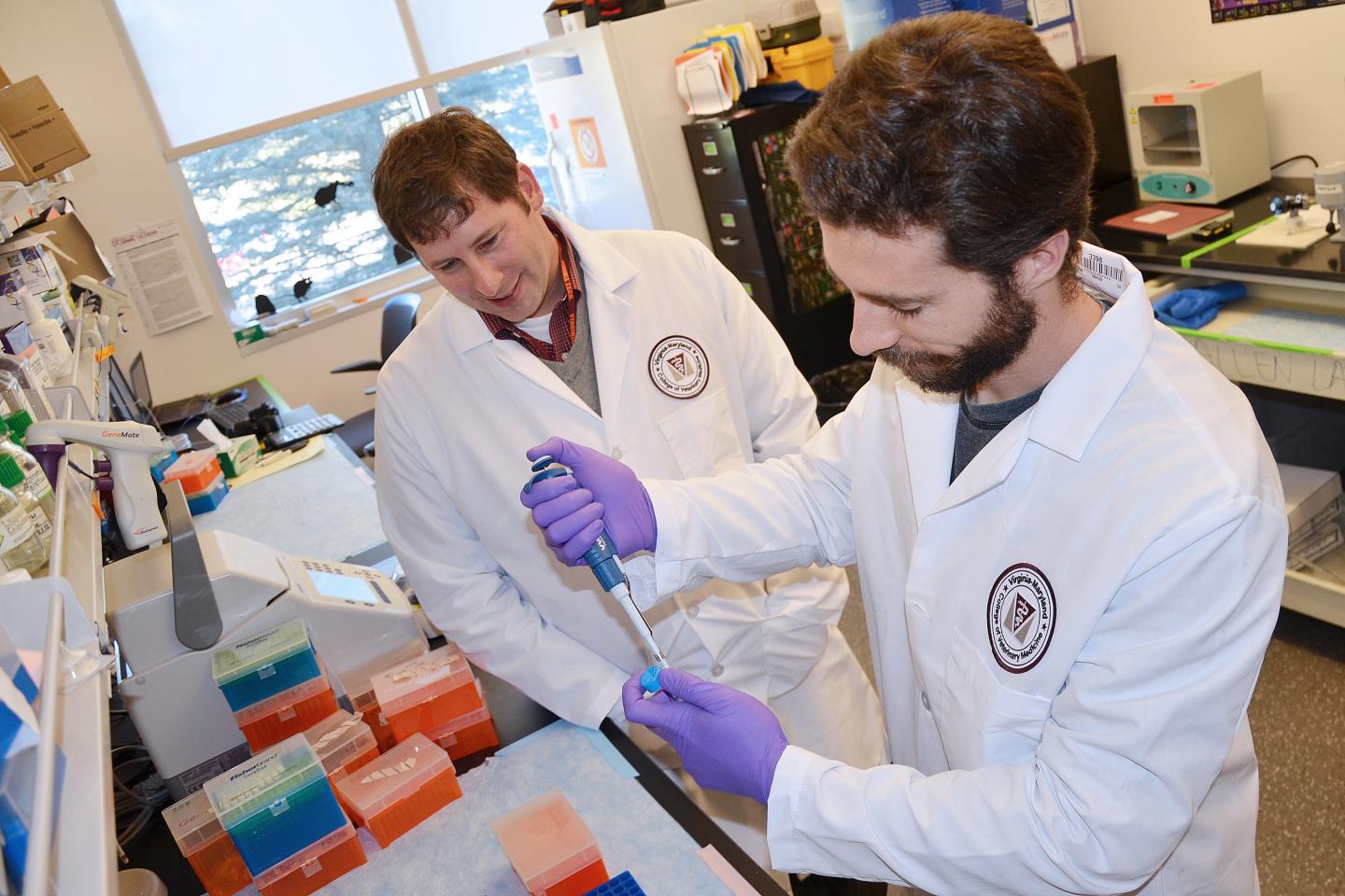 Coy Allen, Virginia Tech [IMAGE] | EurekAlert! Science News Releases