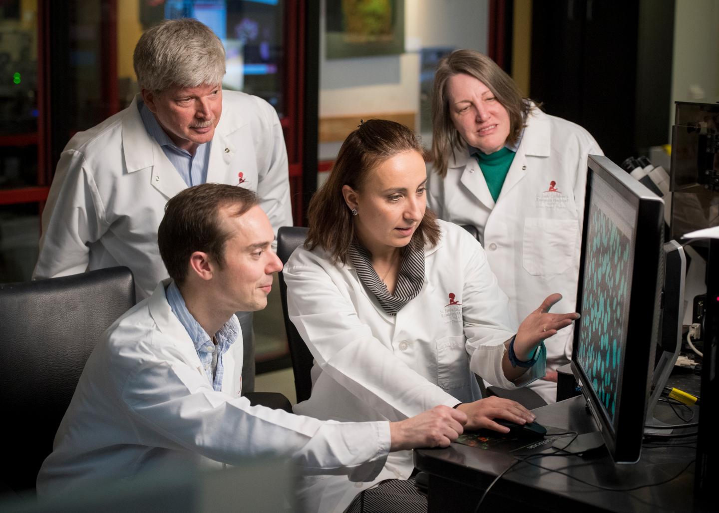 Authors [IMAGE] | EurekAlert! Science News Releases