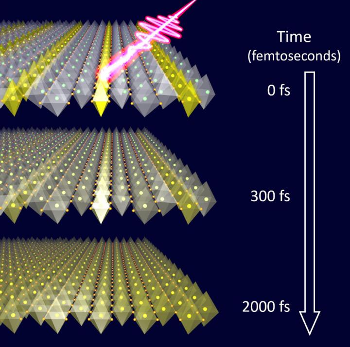 Laser and LSNO [IMAGE] | EurekAlert! Science News Releases