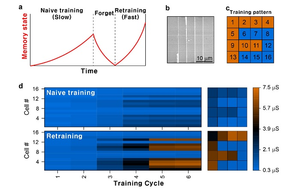 Neuromorphic memory device simulates neurons | EurekAlert!