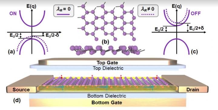 topological transistor [IMAGE] | EurekAlert! Science News Releases