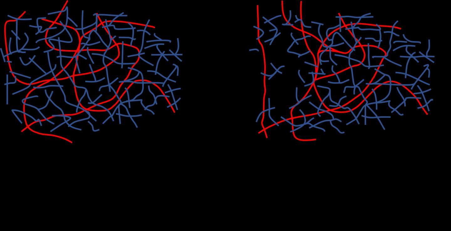 Double Network Structure [IMAGE] | EurekAlert! Science News Releases
