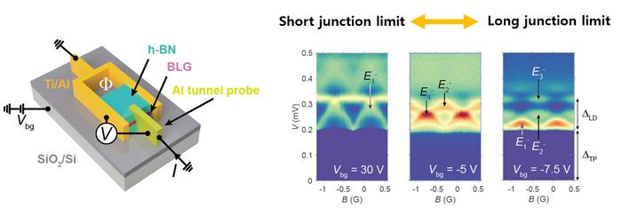 A schematic of a bilayer graph [IMAGE] | EurekAlert! Science News Releases