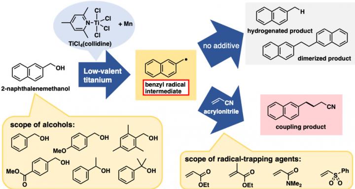 Direct Radical C-C Bond Format [IMAGE] | EurekAlert! Science News Releases