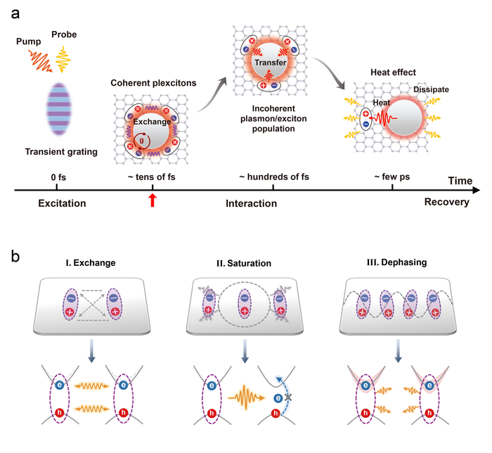 Figure 2 | Ultrafast dynamics [IMAGE] | EurekAlert! Science News Releases