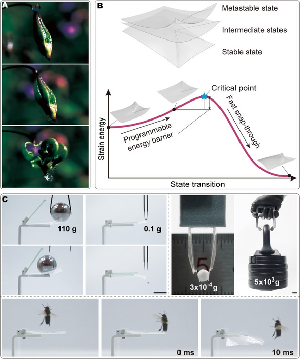 Schematic of the proposed ultr [IMAGE] | EurekAlert! Science News Releases