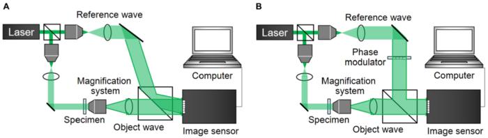 Fig. 3. Two forms of digital h [IMAGE] | EurekAlert! Science News Releases