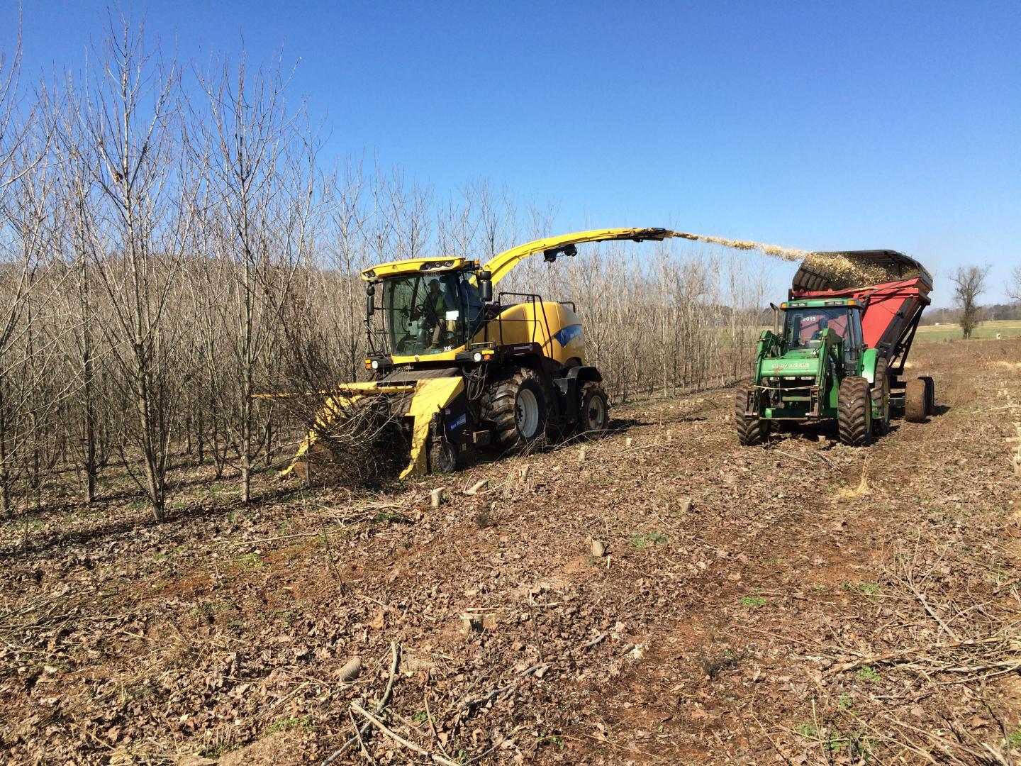 University of Tennessee Center [IMAGE] | EurekAlert! Science News Releases