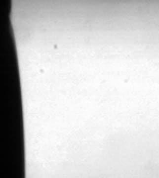 Novel technique reveals the intricate beauty | EurekAlert!