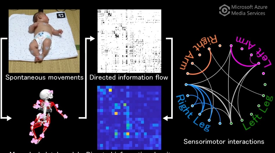 Spontaneous baby movements have purpose | EurekAlert!