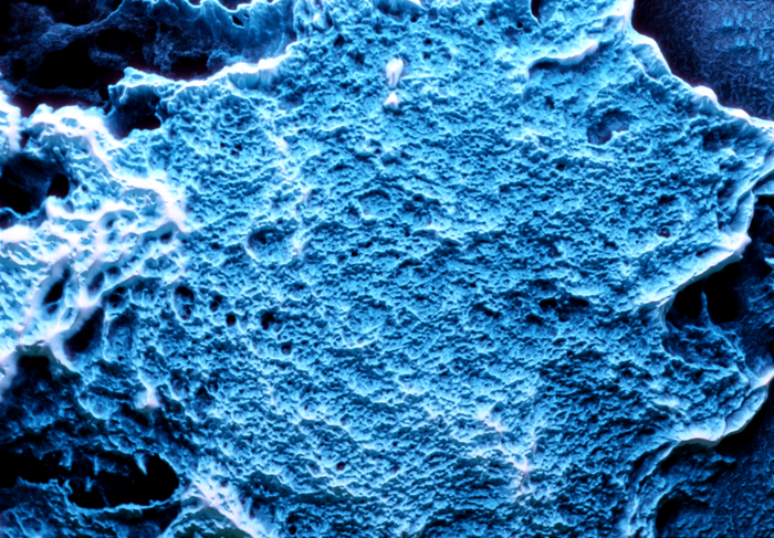 Hydrogen clathrate [IMAGE] | EurekAlert! Science News Releases