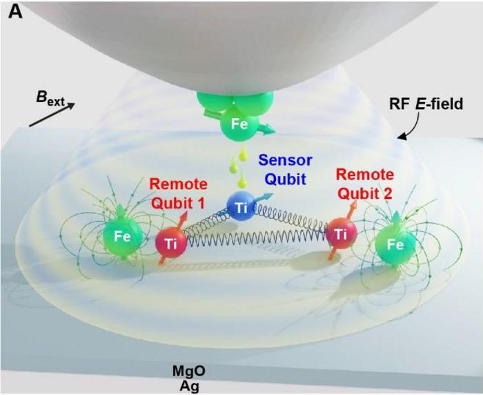 Figure 1 [IMAGE] | EurekAlert! Science News Releases