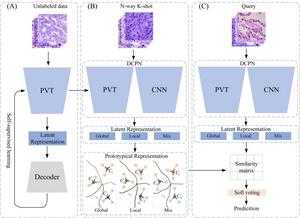 Machine learning to aid in classification of | EurekAlert!