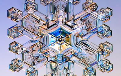 Large Stellar Dendrite Crystal [IMAGE] | EurekAlert! Science News Releases