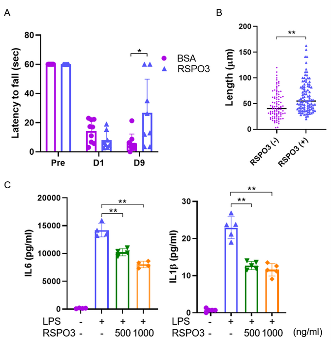 Fig. 2 [IMAGE] | EurekAlert! Science News Releases