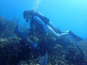 Water sampling [IMAGE] | EurekAlert! Science News Releases