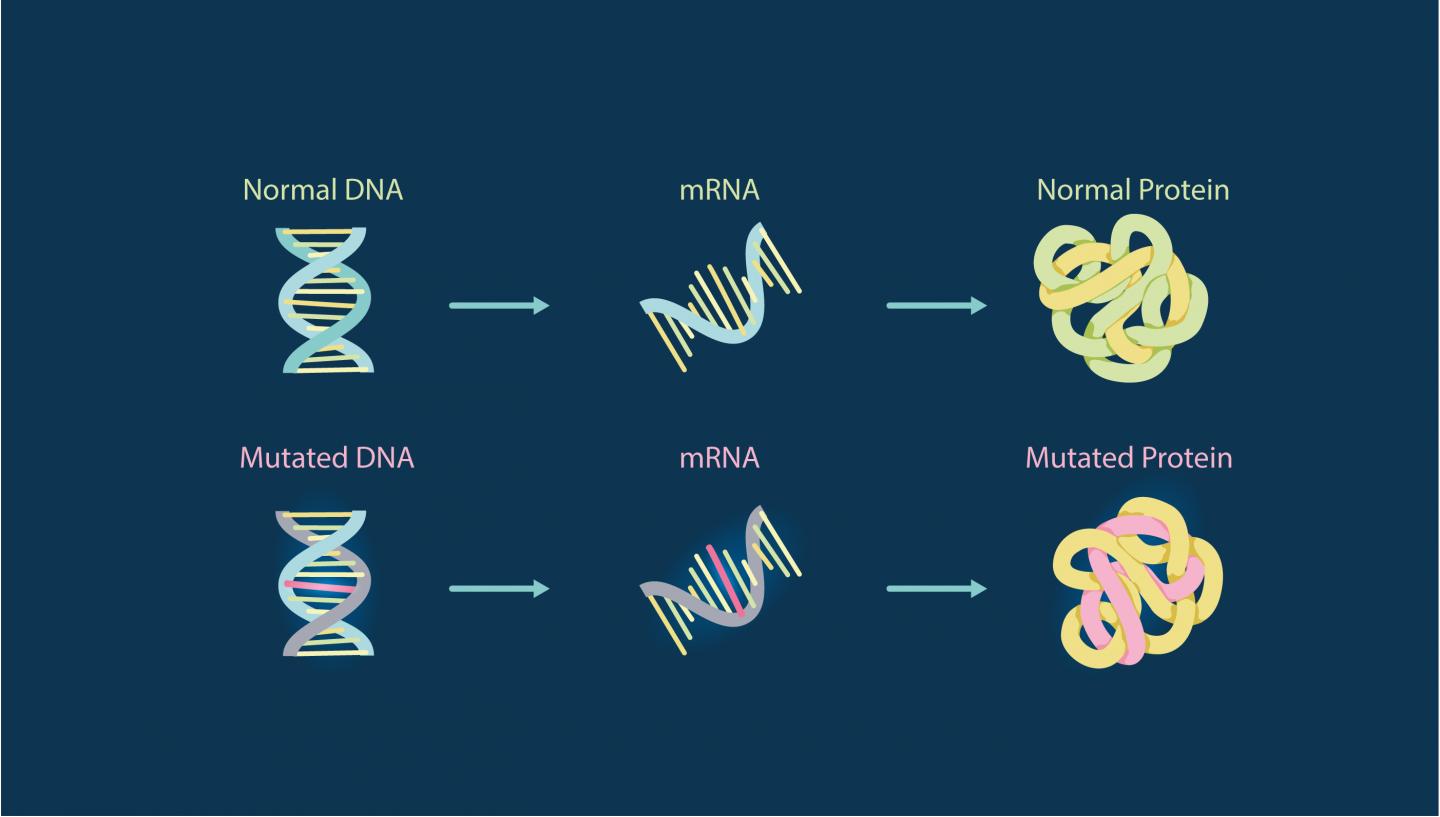 Changes in the Protein Structu [IMAGE] | EurekAlert! Science News Releases