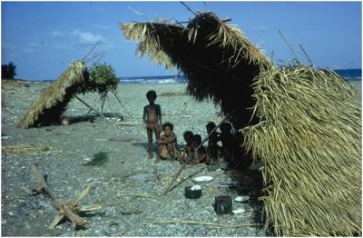 The Agta in Camp near the Beac [IMAGE] | EurekAlert! Science News Releases