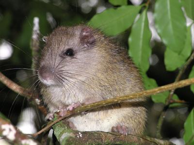 Paying Brazil's Farmers to Conserve is Worth | EurekAlert!