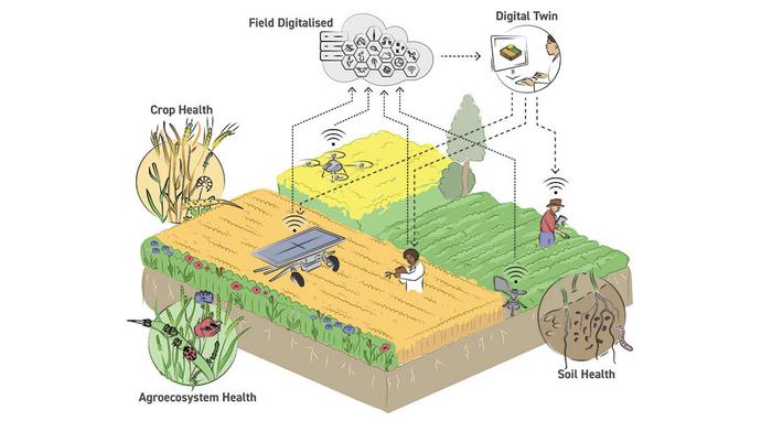 One Crop Health [IMAGE] | EurekAlert! Science News Releases