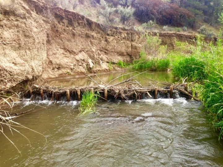 Beaver Dam in Eastern Oregon [IMAGE] | EurekAlert! Science News Releases