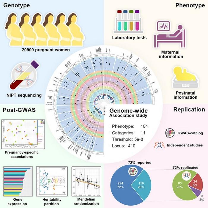 BGI Genomics Neonatal Metaboli [IMAGE] | EurekAlert! Science News Releases
