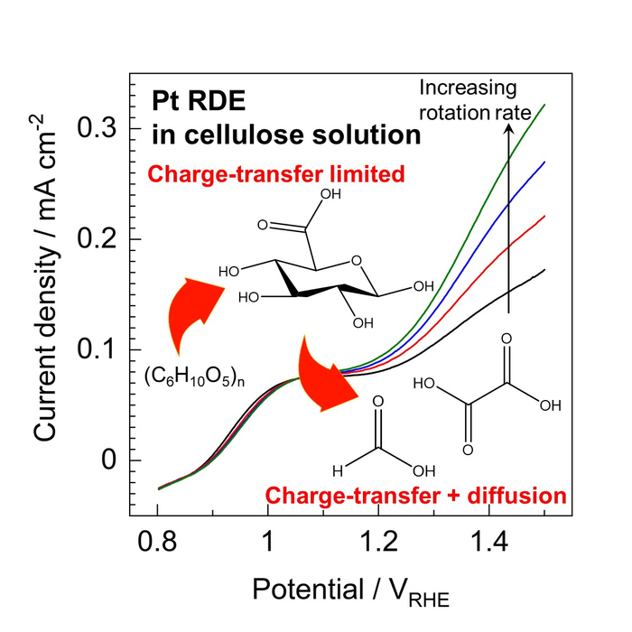 Pt RDE in cellulose solution [IMAGE] | EurekAlert! Science News Releases