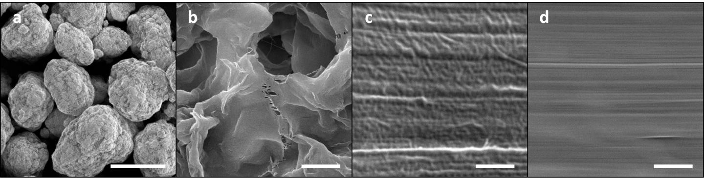 Changes in Polyethylene Surfac [IMAGE] | EurekAlert! Science News Releases