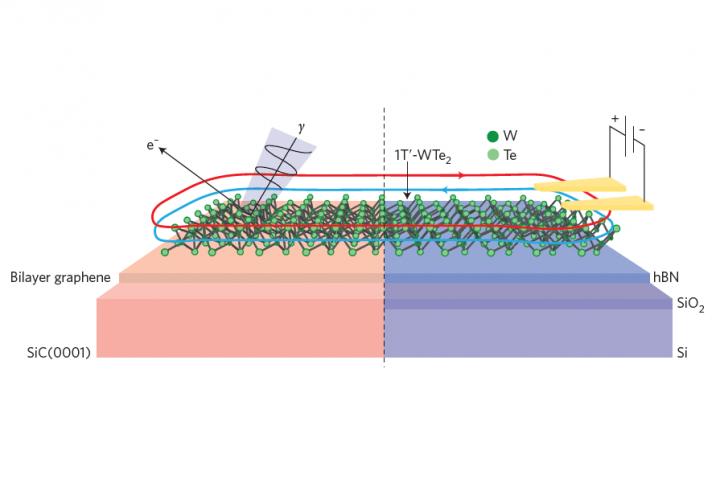 Topological Insulator [IMAGE] | EurekAlert! Science News Releases