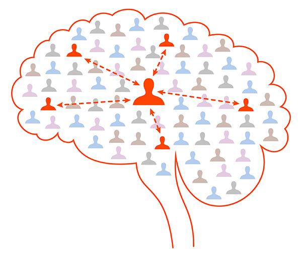 The brain's social network: Nerve cells inter | EurekAlert!