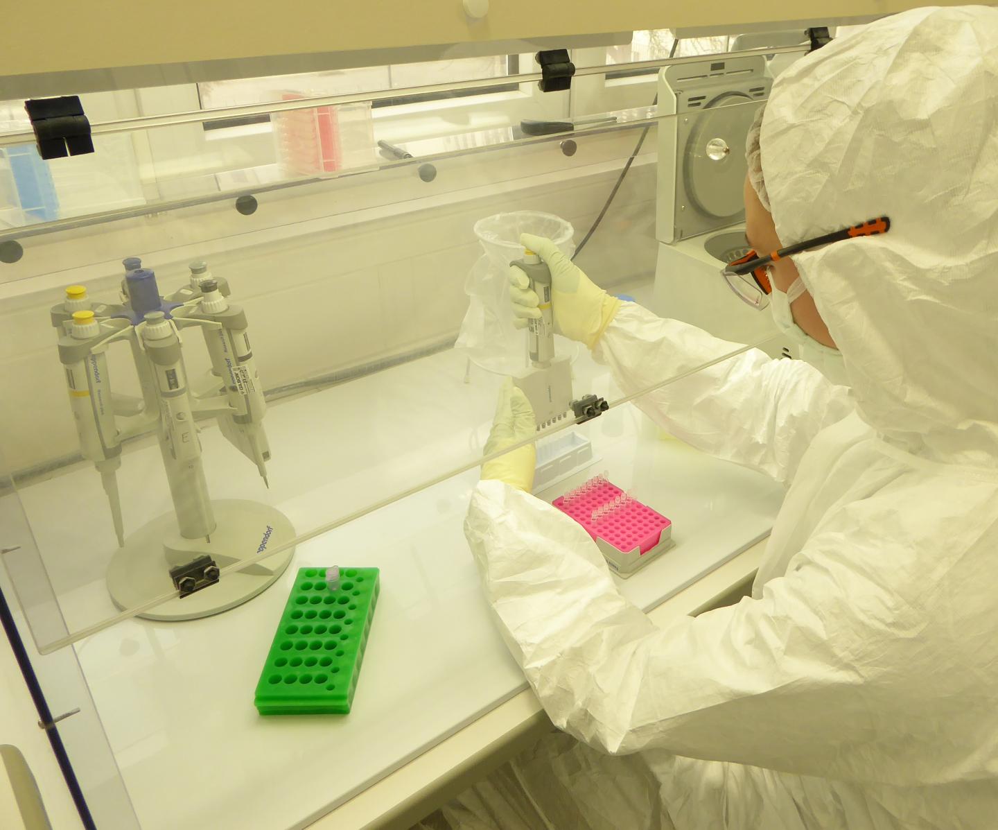 Scientists discover genomic ancestry of Stone | EurekAlert!