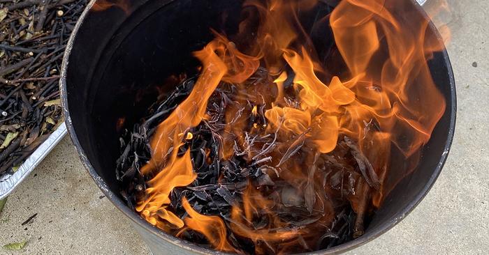 Wildfires also impact aquatic ecosystems | EurekAlert!