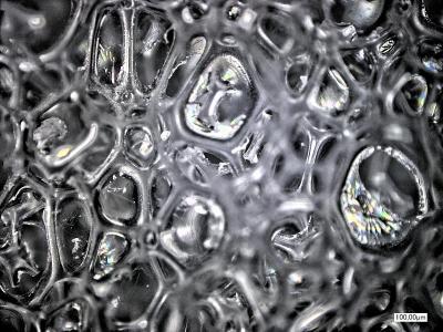 Polyurethane Foam [IMAGE] | EurekAlert! Science News Releases