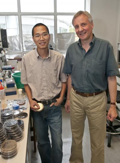 Tung Le and Mark Buttner, John [IMAGE] | EurekAlert! Science News Releases