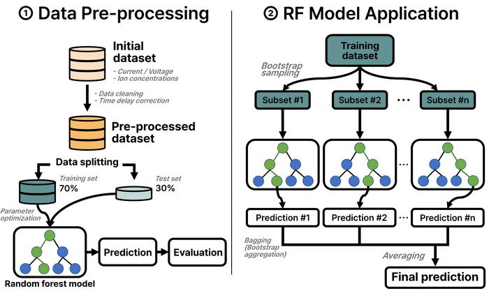 [Figure 2] [IMAGE] | EurekAlert! Science News Releases