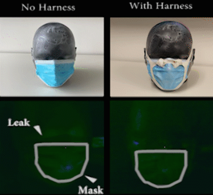 MASK 5 [IMAGE] | EurekAlert! Science News Releases