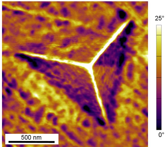 Atomic Force Microscope Image [IMAGE] | EurekAlert! Science News Releases