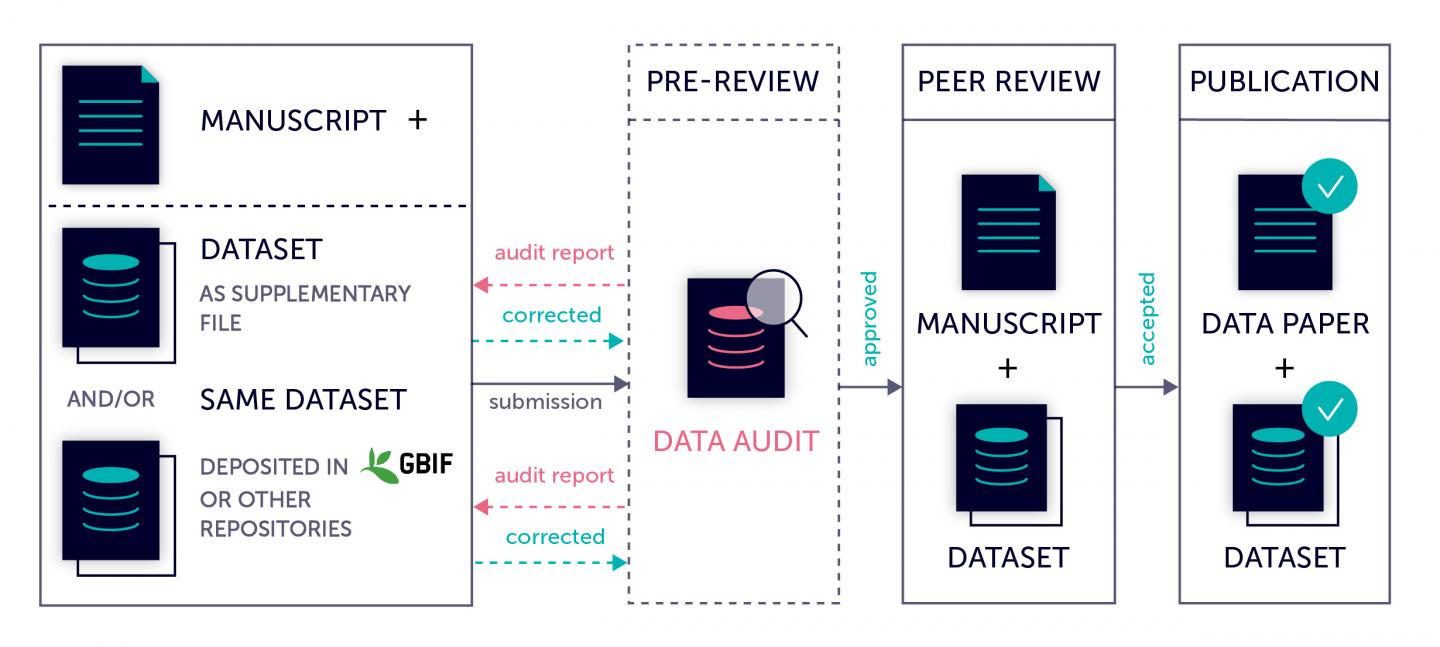 Data Audit Workflow Provided a [IMAGE] | EurekAlert! Science News Releases