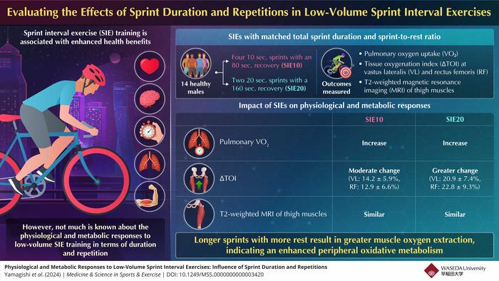 Longer sprint intervals can improve muscle ox | EurekAlert!