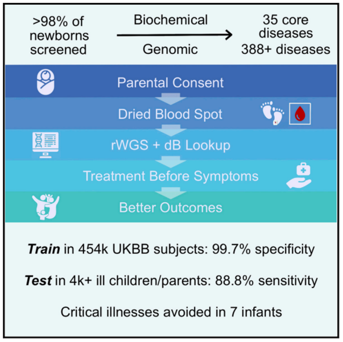 Novel newborn screening system uses rapid who | EurekAlert!