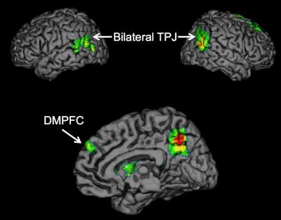 Brain Regions TPJ and DMPFC [IMAGE] | EurekAlert! Science News Releases
