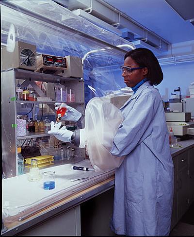 Bioremediation Experiments | EurekAlert!