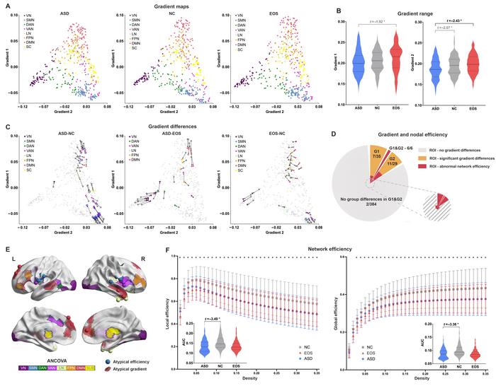 Functional gradient and networ [IMAGE] | EurekAlert! Science News Releases