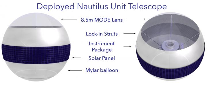Nautilus Labeled [IMAGE] | EurekAlert! Science News Releases