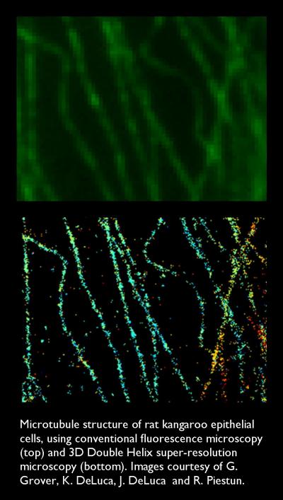 Novel U. of Colorado 3D super-resolution imag | EurekAlert!