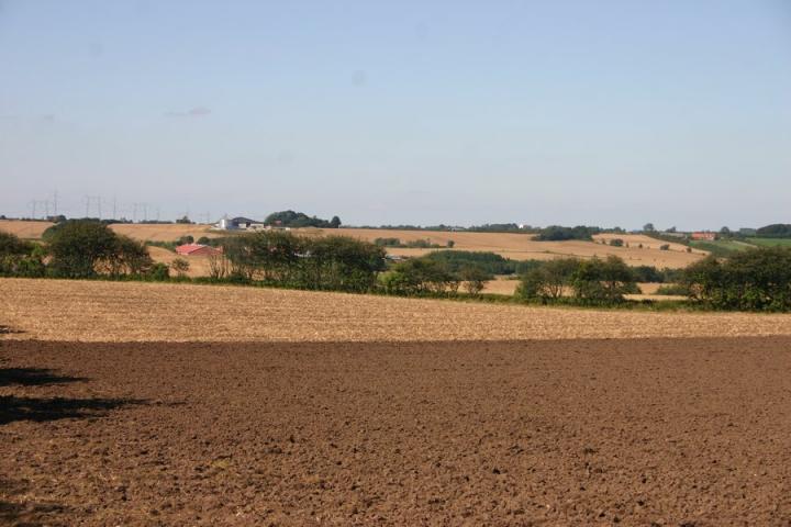 Janne Hansen, Aarhus Universit [IMAGE] | EurekAlert! Science News Releases