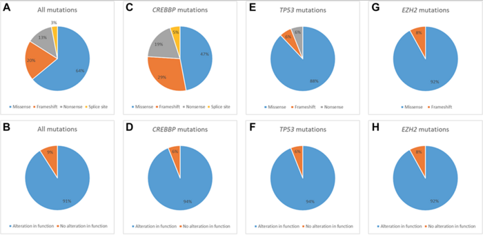 Oncotarget | Mutation analysis performed on t | EurekAlert!