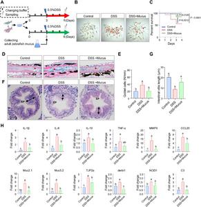 Fish mucus: A form of maternal immunity like | EurekAlert!