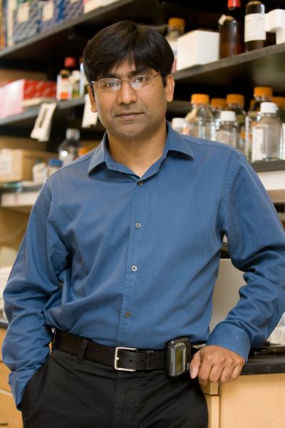 Pavan Reddy, University of Mic [IMAGE] | EurekAlert! Science News Releases
